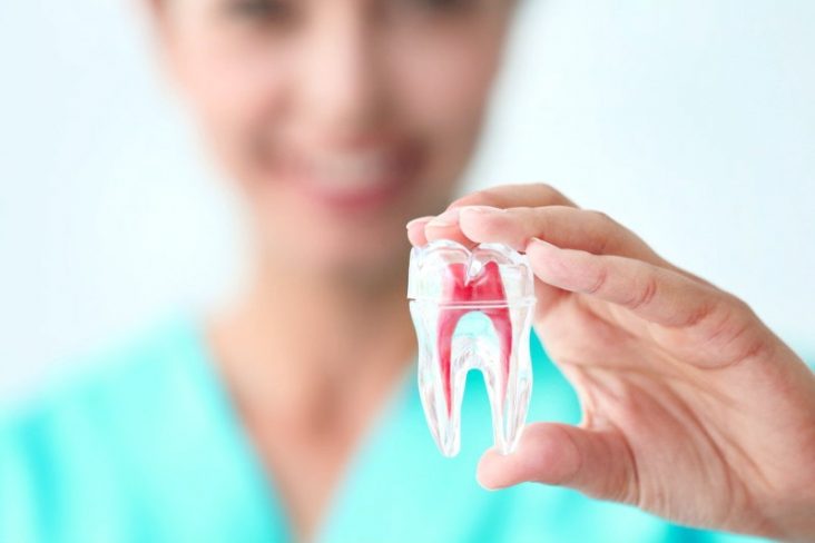 ¿Qué son los cordales? - DENTALCARE CLINICAS